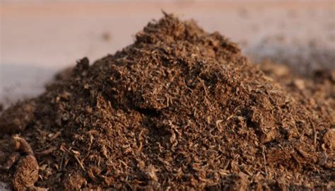 Peat Moss Or Straw For Grass Seed Which Is Best