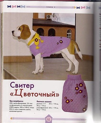 Вязаная одежда для собак