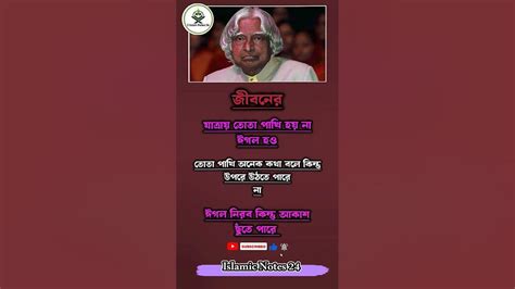 জীবনের যাত্রায় তোতা পাখি Shortvideo ইসলামিক Islamic Islamicvideo