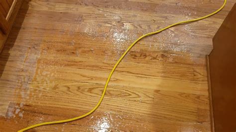 How Do You Remove Wax Buildup From Hardwood Floors Floor Roma
