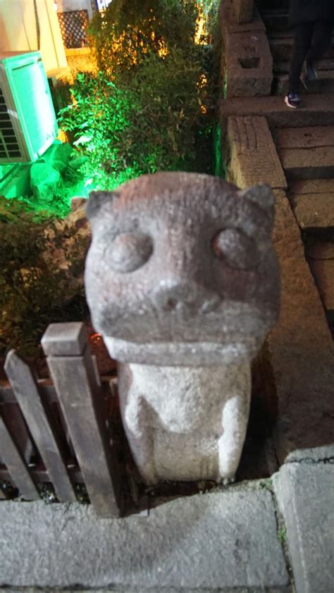 旅遊の在路上山塘街的狸貓你看到過幾隻 每日頭條