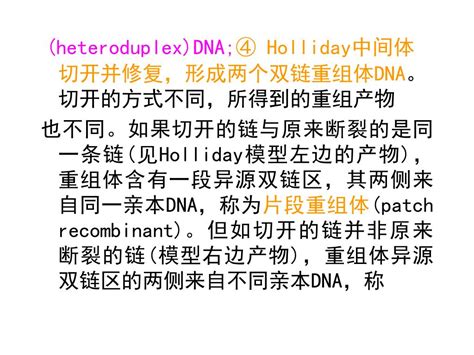 Ppt 第四章 Dna 重组 Powerpoint Presentation Free Download Id944117