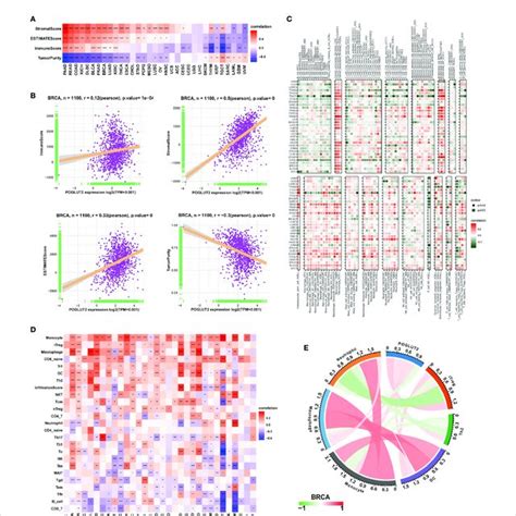 Gsva Enrichment Analysis A Top 50 Poglut2 Correlated Hallmark
