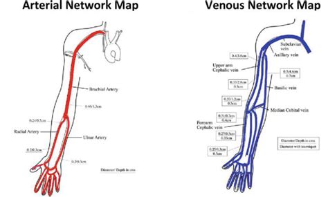 Upper Extremity Venous Mapping