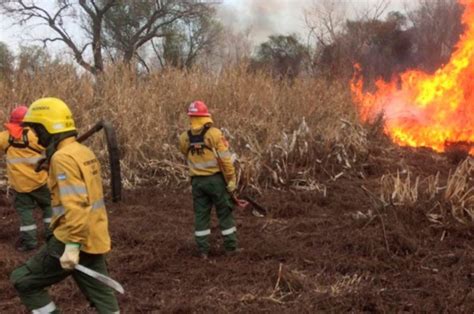 En Lo Que Va Del 2022 Ya Se Superó La Cantidad De Hectáreas Incendiadas