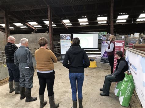 Advanced Ruminant Nutrition Ltd Liz Newman Discusses Heifer Rearing