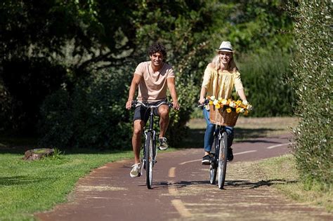 젊은 부부는 숲에서 자전거를 타고 있다 벡터 배경 및 무료 다운로드를위한 그림 Pngtree