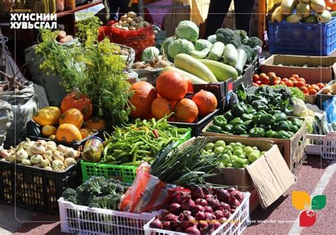 Алтан намар 2023 хүнсний ногооны өргөтгөсөн худалдаа зохион байгуулагдаж буй 31 БАЙРШИЛ