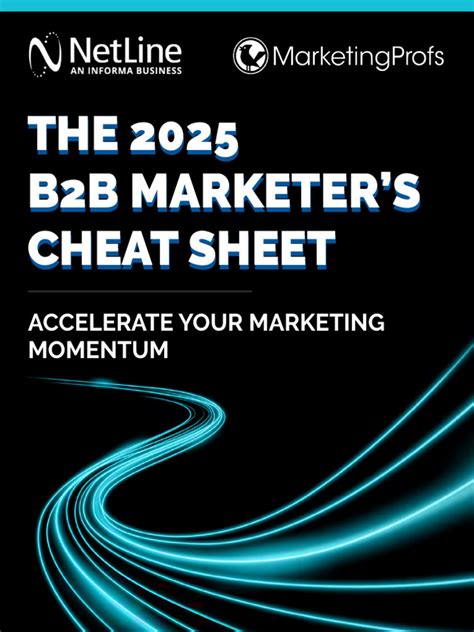 2025 b2b marketers cheat sheet pdf