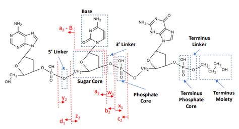 Characterization Of Oligonucleotides And Related Impurities To Support