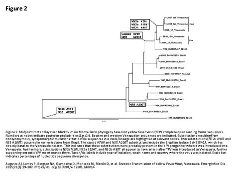 Figure 2 Midpoint Rooted Bayesian Markov Chain Monte