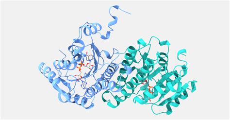 Glucose Dehydrogenase Gdh Enzyme Johnson Matthey Johnson Matthey