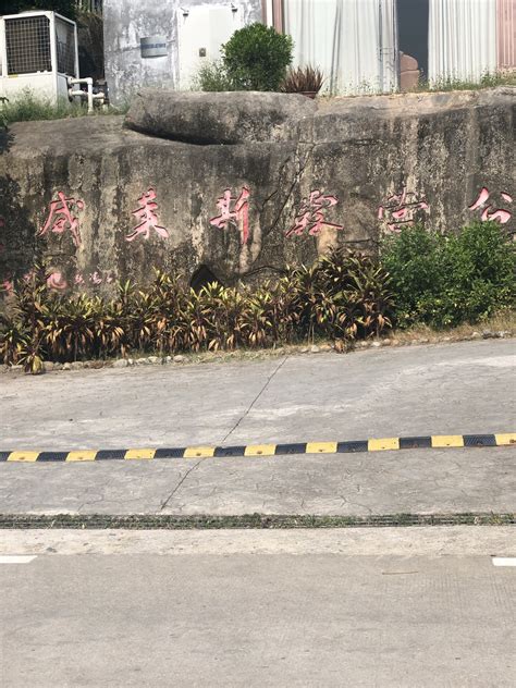 2024前垵湾休闲农庄游玩攻略 船还在房车营也在这边 去哪儿攻略