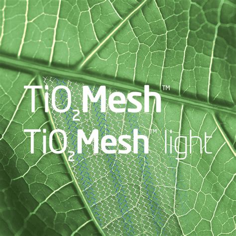 High Quality Surgical Meshes Biocer Entwicklungs Gmbh