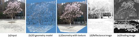 Figure 3 From Single Image Based Illumination Estimation For Lighting
