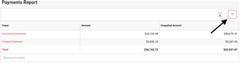 Payments Allocation Report Ezderm Support