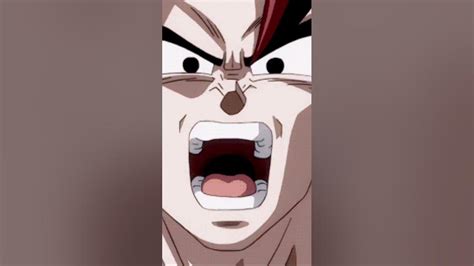 Vegito Vs Goku Youtube