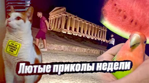 Лютые приколы YouTube