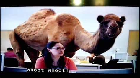 Funny Geico Hump Day Commercial Youtube