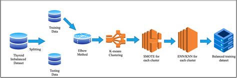 proposed data balancing technique download scientific diagram