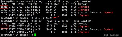 【linux】进程概念详述 前台进程的子进程如果孤儿了 为啥会变成后台进程 csdn博客