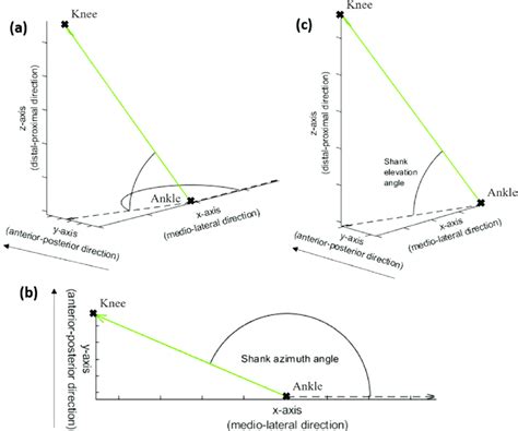 Segment Angle Conventions For The Shank Green Arrow With The Origin Download Scientific Segment Angle Conventions For The Shank Green Arrow With The Origin Download Scientific