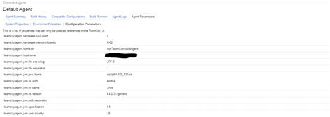 Encoding Problem Character Like Are Not Displayed Correctly Teamcity Support