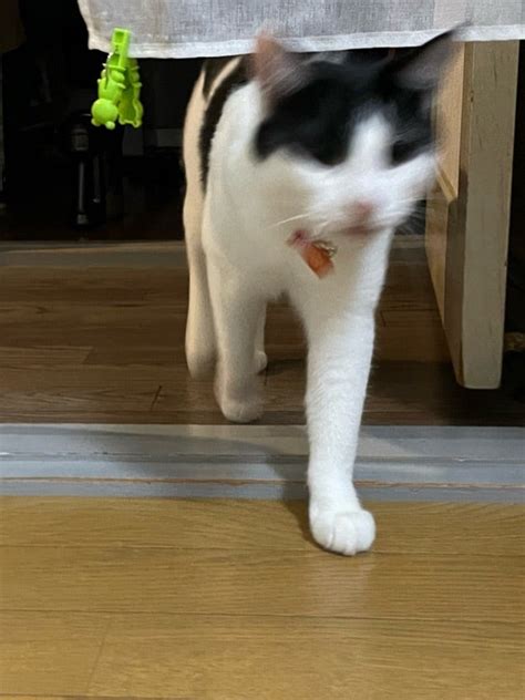 なんのために生きてるの？ 人生ってナンダ？