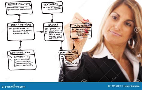 Esquema De La Base De Datos De La Orden Imagen De Archivo Imagen De Aislado Negocios 12995809