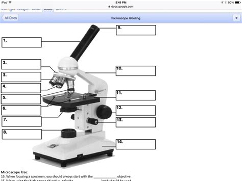 Microscope Label Diagram Quizlet