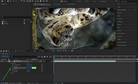 How To Invert A Video In After Effects Aejuice