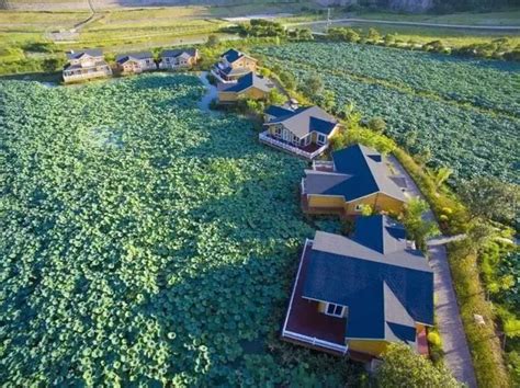 春节珠海乡村自驾游去哪好？收好这篇史上最强攻略，带你浪遍斗门乡村！