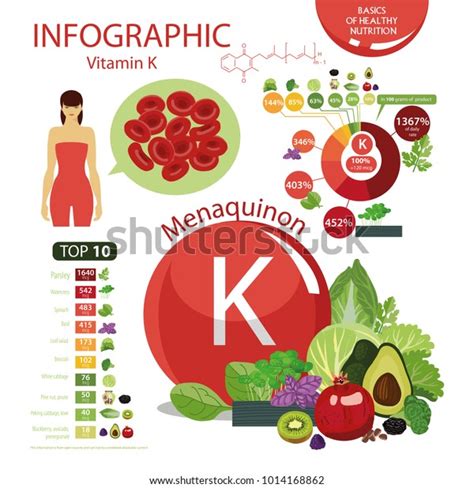Vitamin K Menaquinone Composition Natural Organic Stock Vector Royalty Free 1014168862