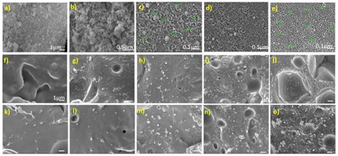 Polymers Special Issue Biopolymers Structure Function Relationship And Application