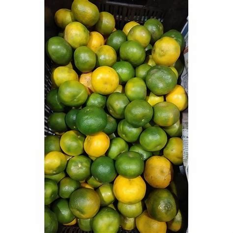 Oranges Wholesale Price Mandi Rate For Oranges In India