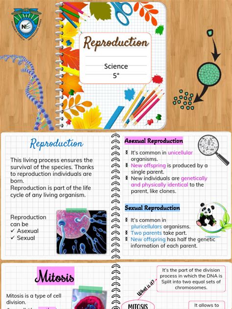 5 1st Term Cell Reproduction Mitosis Pdf Mitosis Systems