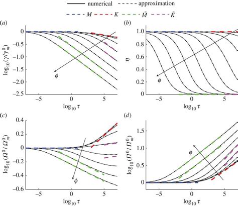 comparison between the numerical solution solid black lines and the