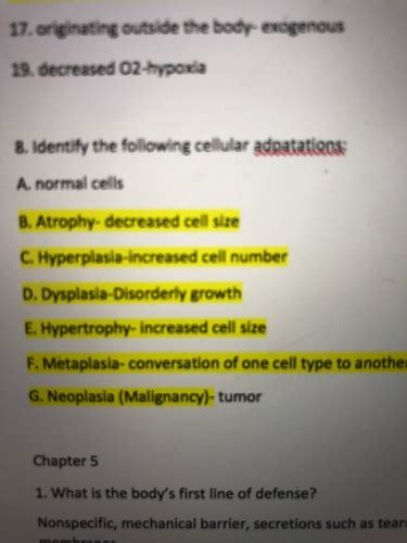 Disease Exam 1 Review Flashcards Quizlet