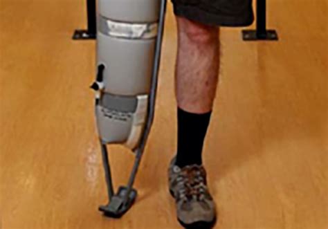 Healthlink Holdings Limited Orthopedics