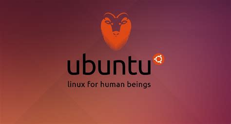 Fallo Ubuntu The System Is Running In Low Graphics Mode Web De Danny Pid