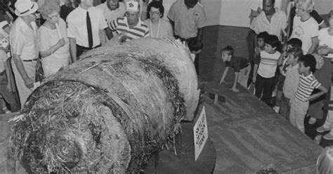 El Día Que La Ciencia Ficción Se Convirtió En Realidad A 45 Años De La Caída De La Estación