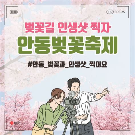 안동 벚꽃축제 행사 및 주차장 안내