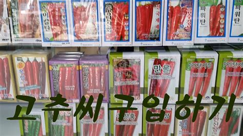 2022년 고추모종내기 준비 ㅡ 고추씨 구입 상토 구입 종자는 만물 금수강산청량 고추종자 Youtube