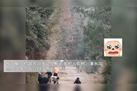 回乡过年的村民自发打扫村路，70人扫了两天：大家很自觉每年如此