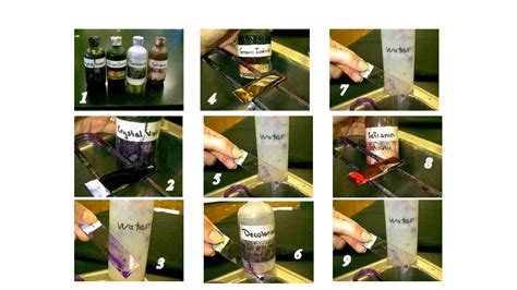 Staining Of Microorganisms Pptx
