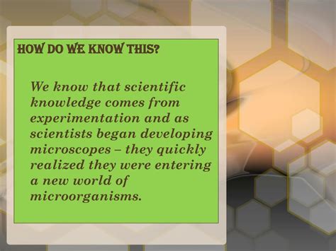 Ppt Cell Structure And Function Powerpoint Presentation Free