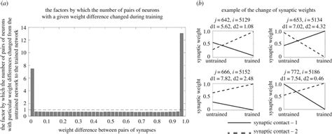 A New Approach To Solving The Feature Binding Problem In Primate Vision Interface Focus