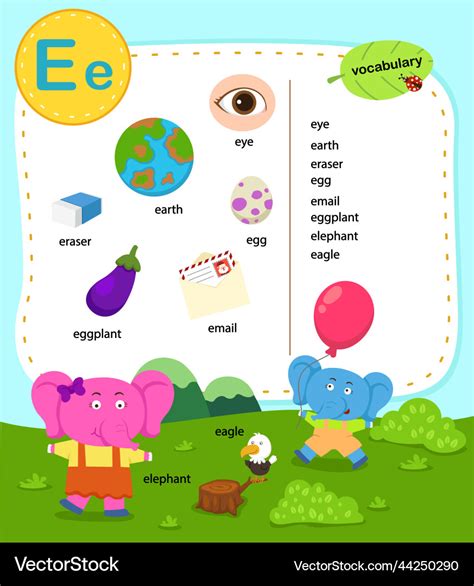 Letter E Alphabet Learning Royalty Free Vector Image