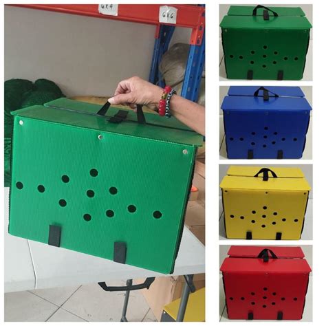 Double Plastic Derby Box Collapsible Shopee Philippines