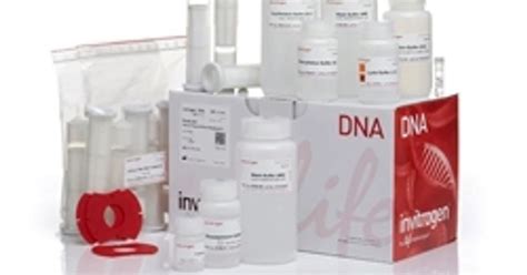 Purelink™ Hipure Plasmid Filter Maxiprep Kit Selectscience